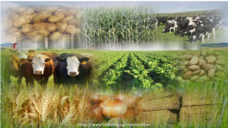 Marx’s Concept of Commodities Revisited | The InsighTalk